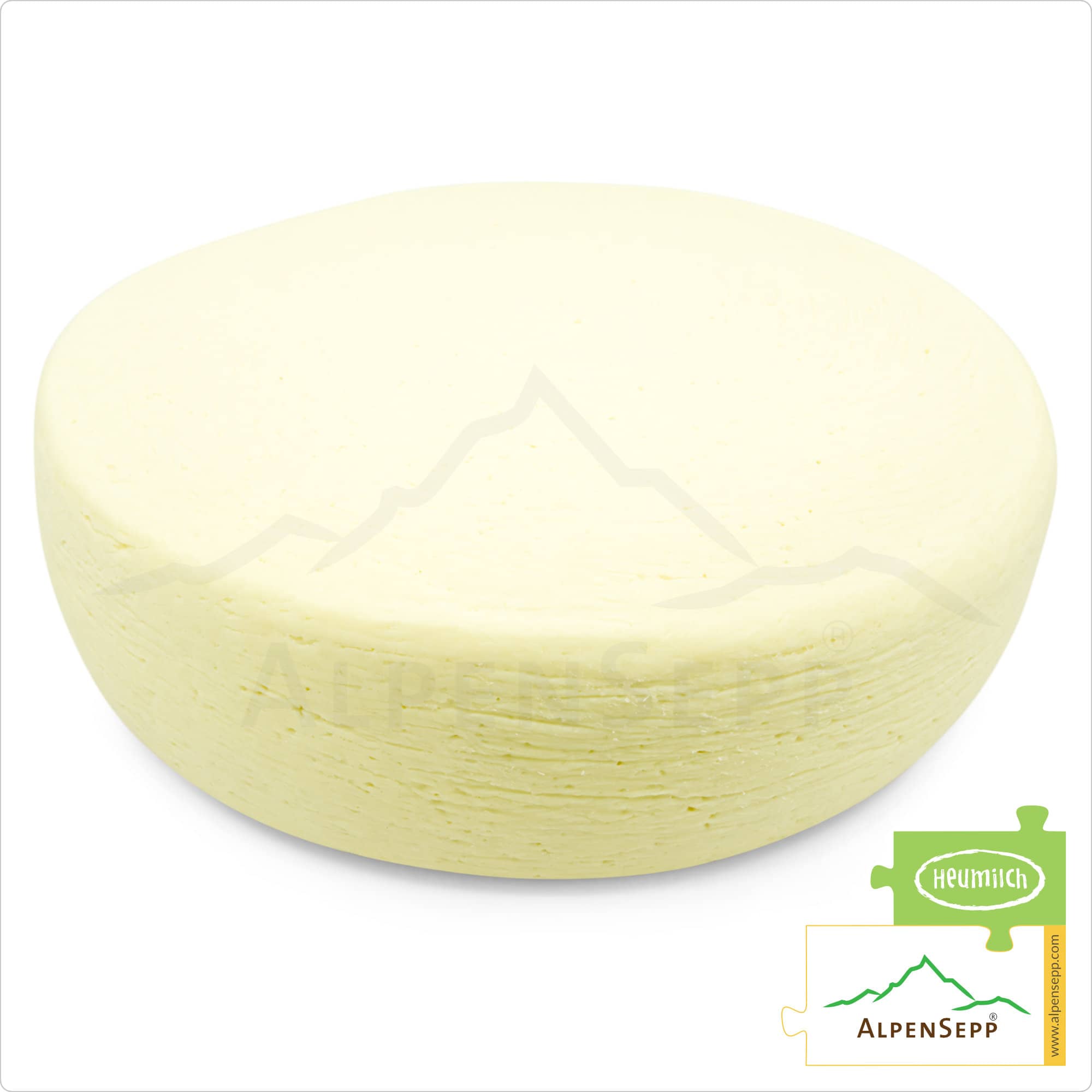 SMELLY SPICY Cheese wheel - wet-ripened | lactose-free | 100% hay milk